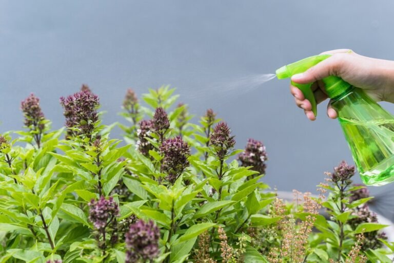 15 Best Eco-Friendly Insect Control Methods Backed by Studies | What is ...