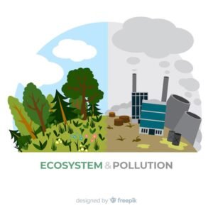 10 Negative Effects of Deforestation on the Environment: A ...