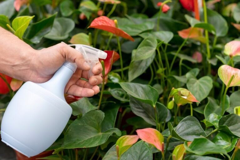 15 Best Eco-Friendly Insect Control Methods Backed by Studies | What is ...