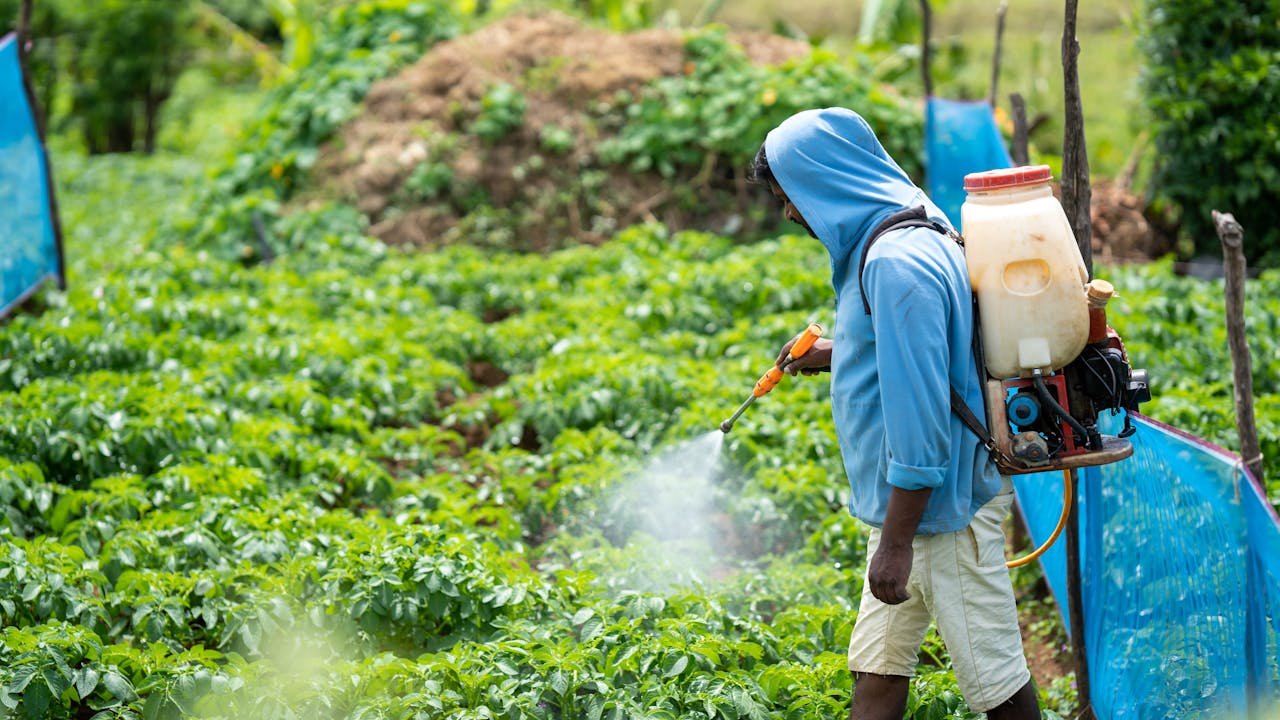 What Is Eco-Friendly Pest Management? | What is Green Living?