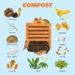 How to Make Your Home More Sustainable: A Comprehensive Guide | What is ...