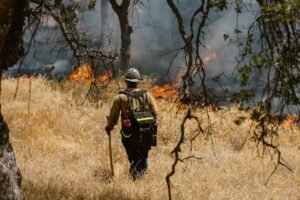 10 Stories of Climate Refugees: The Real Faces of a Global Crisis ...