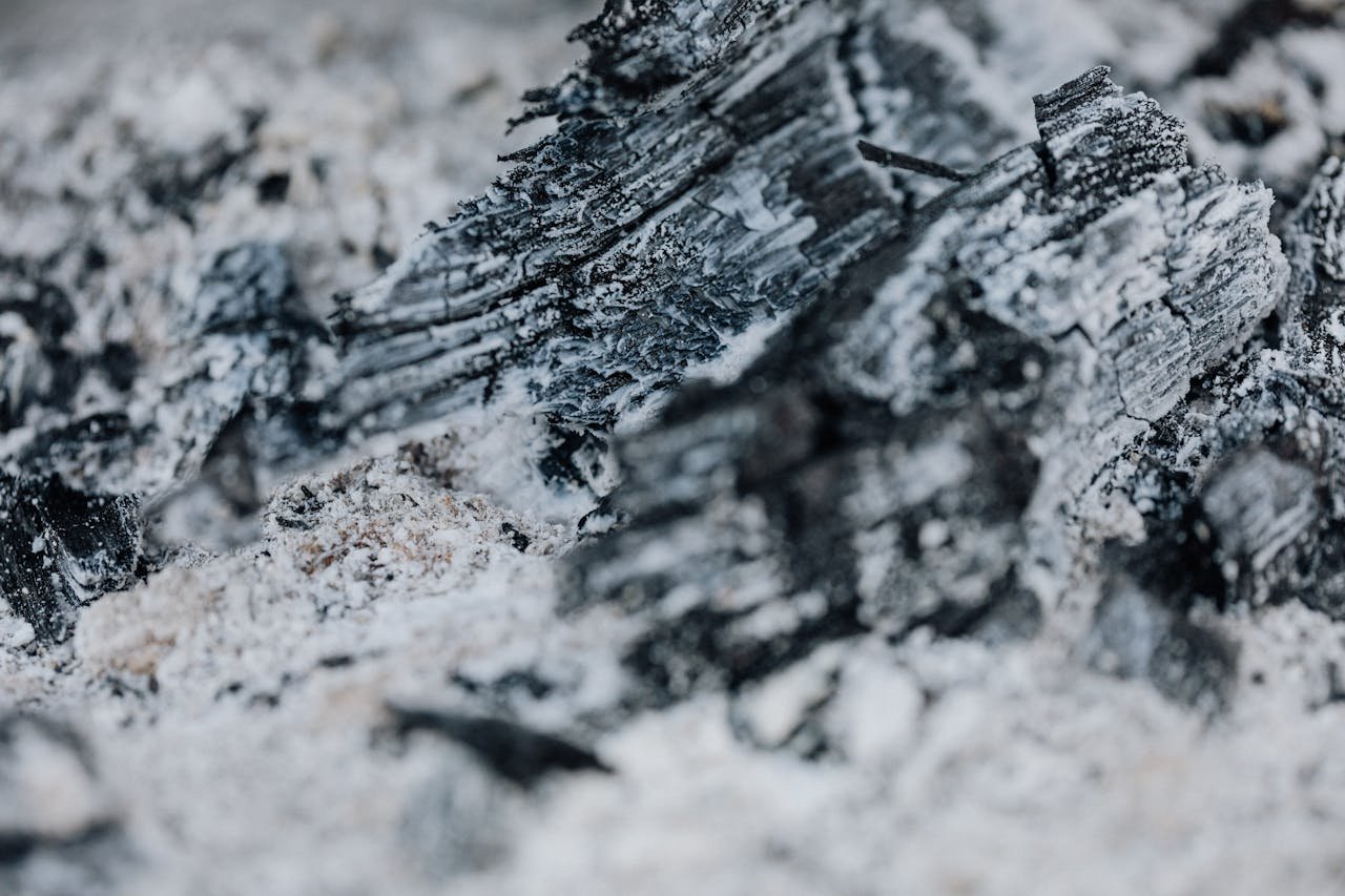 Is Wood Ash Good for Plants? | What is Green Living?
