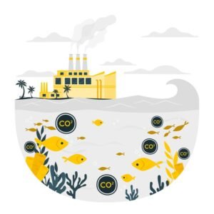 6 Types of Ocean Pollution: An Expert Guide to Protecting Our Blue ...