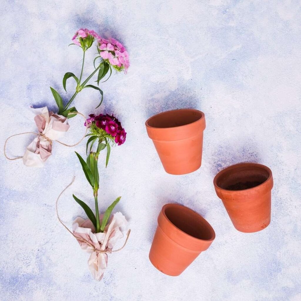 Is Broccoli A Flower Or A Vegetable What Is Green Living Is Broccoli A Flower Or A Vegetable What Is Green Living