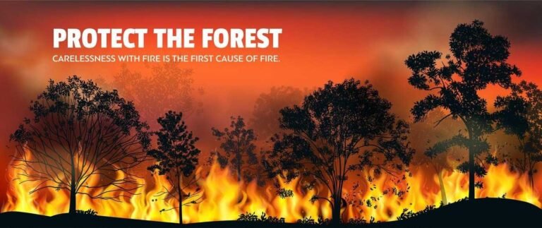 20 Biggest Environmental Problems and How to Manage Them | What is ...