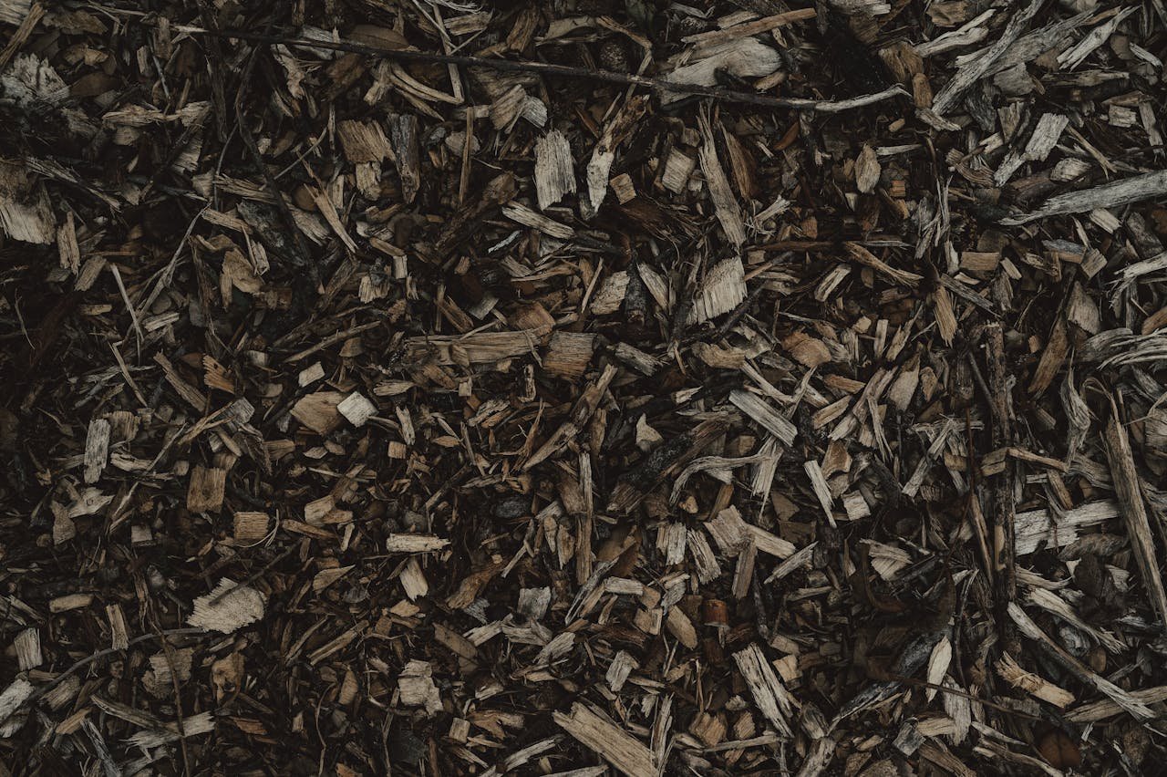 Is Wood Recyclable or Compostable? A Comprehensive Guide | What is ...