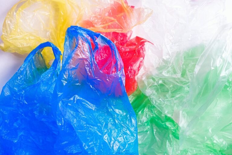 Single-Use Plastics Examples in Everyday Life | What is Green Living?