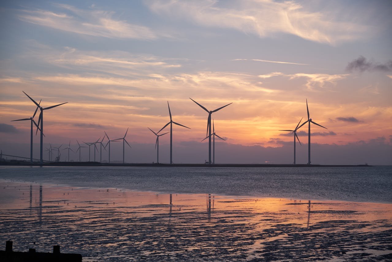 Pros and Cons of Wind Farms | What is Green Living?