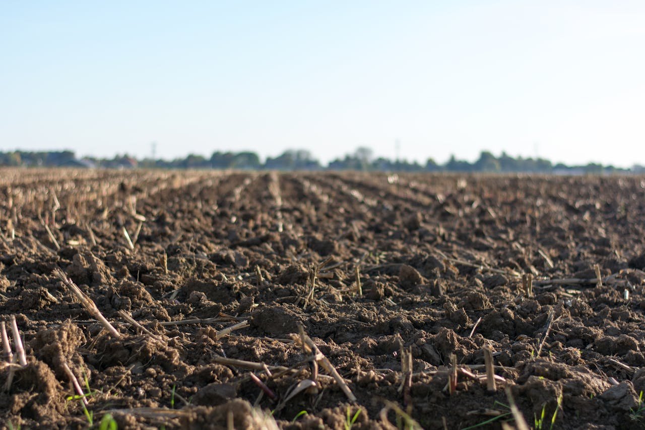 Soil Pollution Causes and Remediation Techniques | What is Green Living?
