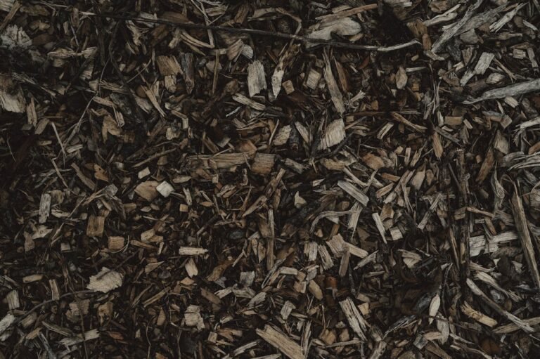 Waste Wood Recycling Market Report Reveals Opportunities Outside ...