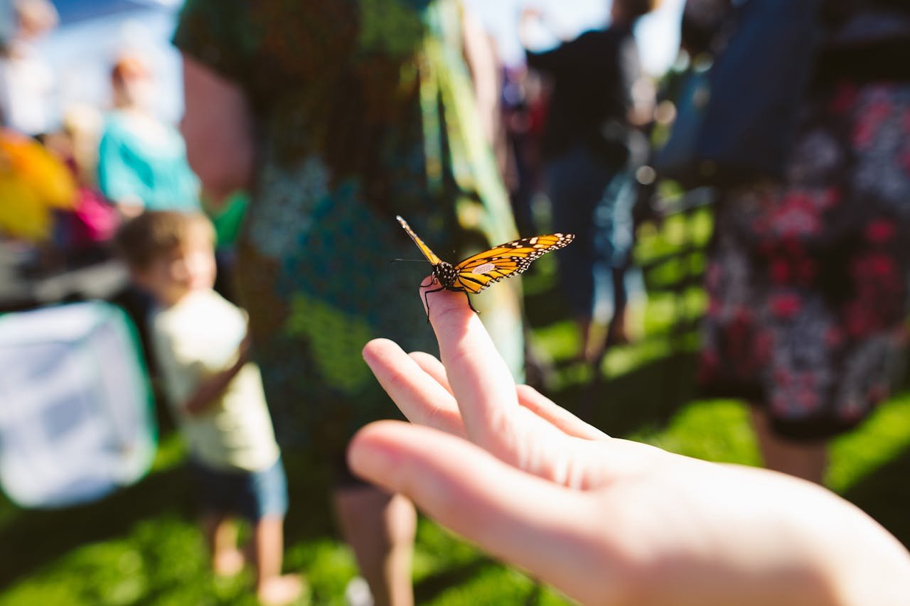 What It Usually Means When a Butterfly Lands on You, and What the ...